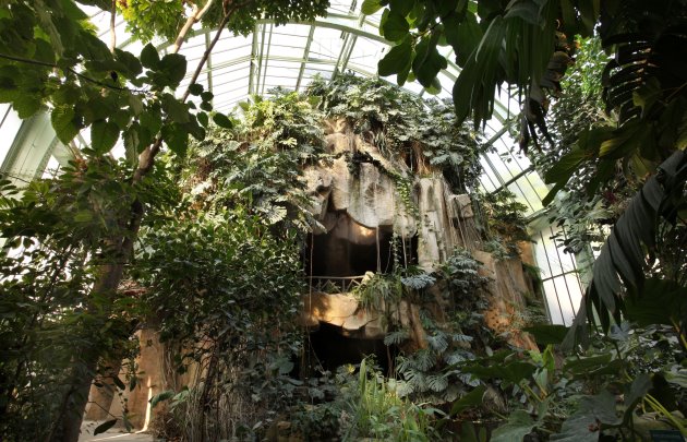 The Museum National d’Histoire Naturelle de Paris