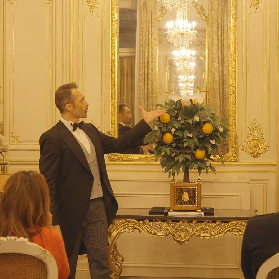 Spectacle de magie à Paris: Les Soirées Fantastiques avec le magicien ...