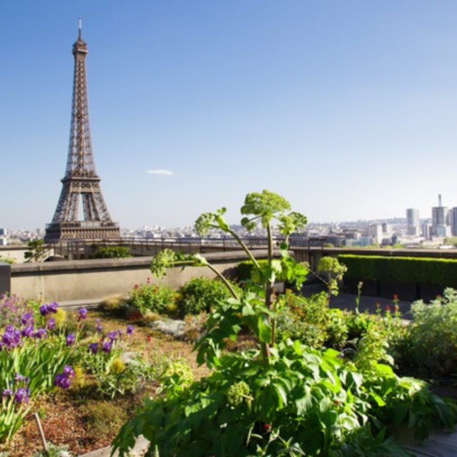 Eco-responsible events in the Paris Region: committed venues and ...